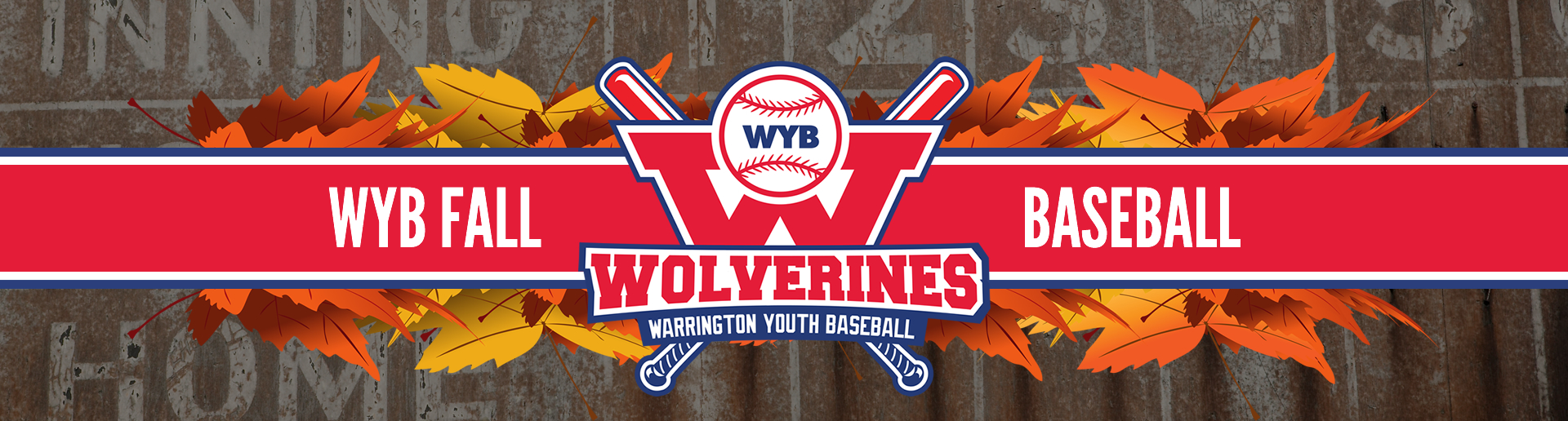 Home [www.warrington-baseball.com]